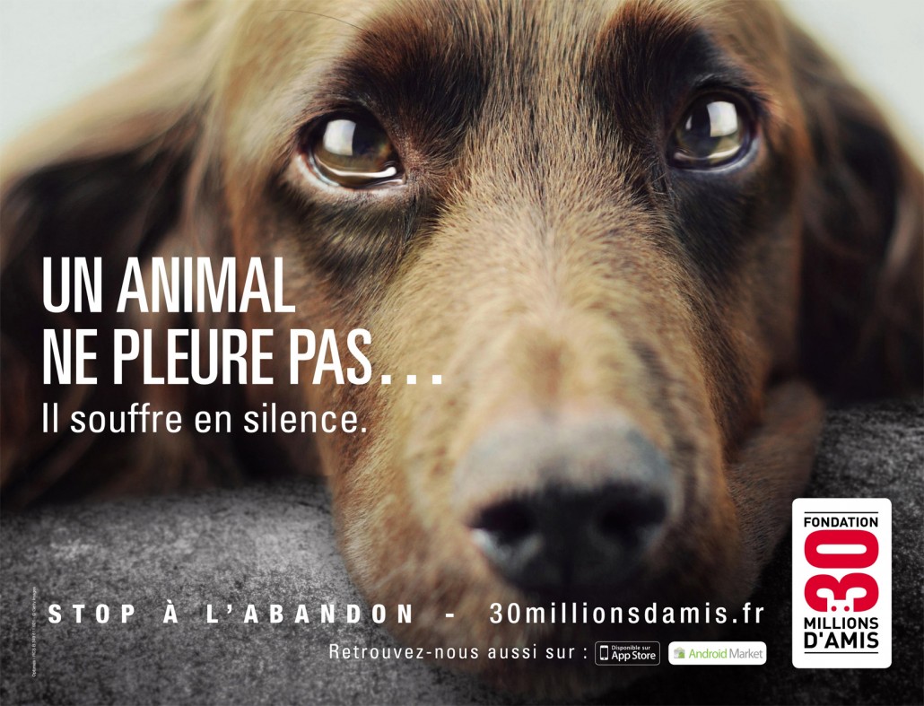 Les meilleures publicités mettant en scène les animaux